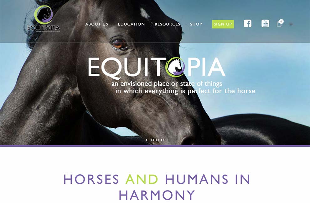 Equitopia Center Upgrade – Reverb Studios Design